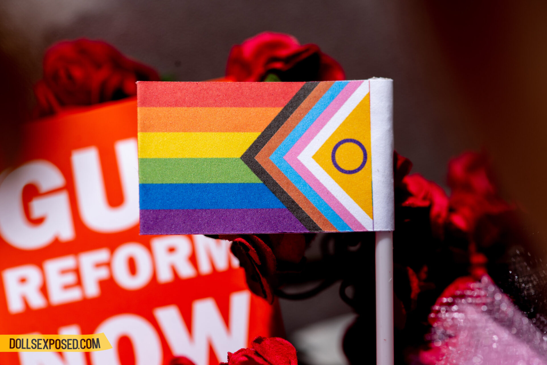 A Brief History of the Rainbow Flag (National Flag Day) – DOLLSEXPOSED